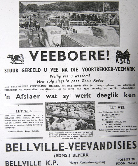 Bellville – Interessante Berigte vanaf 1940 – Tygerberg Stories
